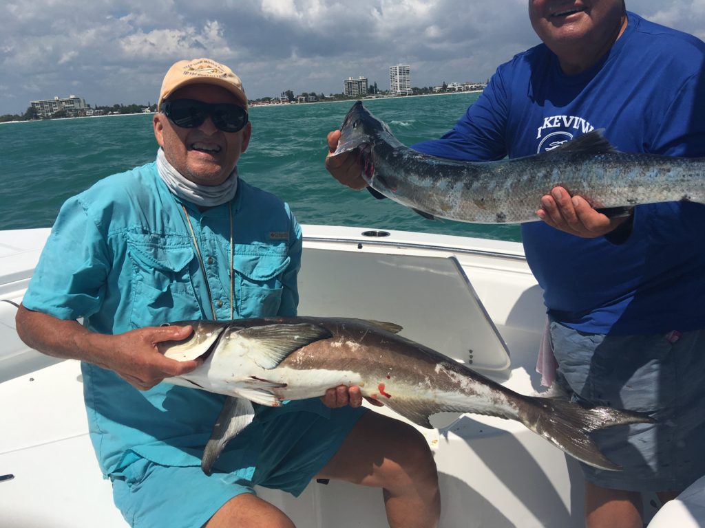 Cobia and Barracuda in the Gulf by Basil Dubrosky - Village Harbour ...