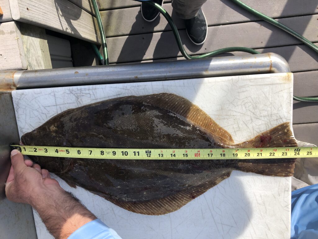 Friday August 21 Fishing on the Jen-Jen by Larry Leary - Village ...