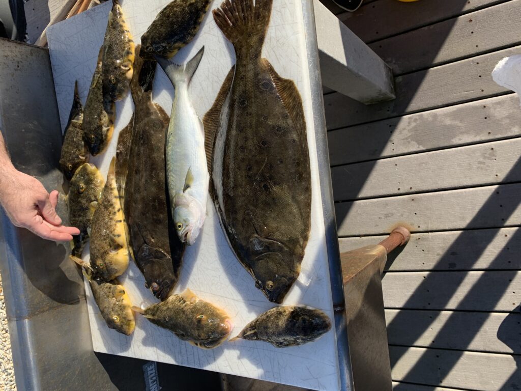 Labor Day Fishing with the Family by Larry Leary - Village Harbour ...