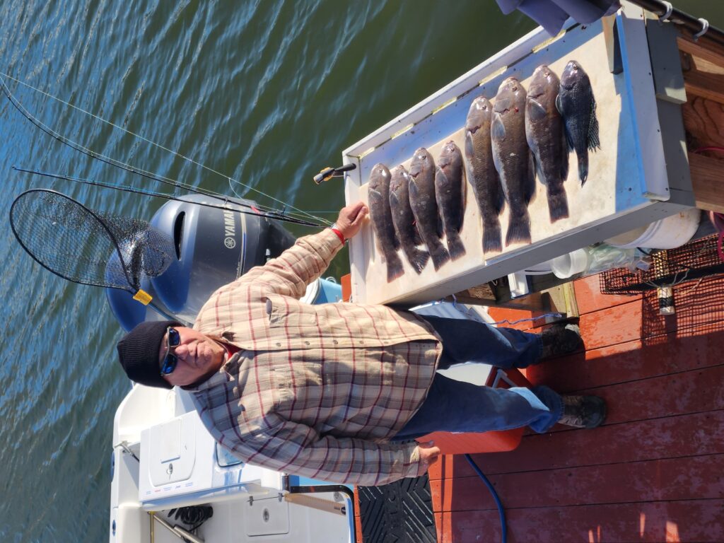 Fall Tog Fishing by Marty Friedrich - Village Harbour Fishing Club